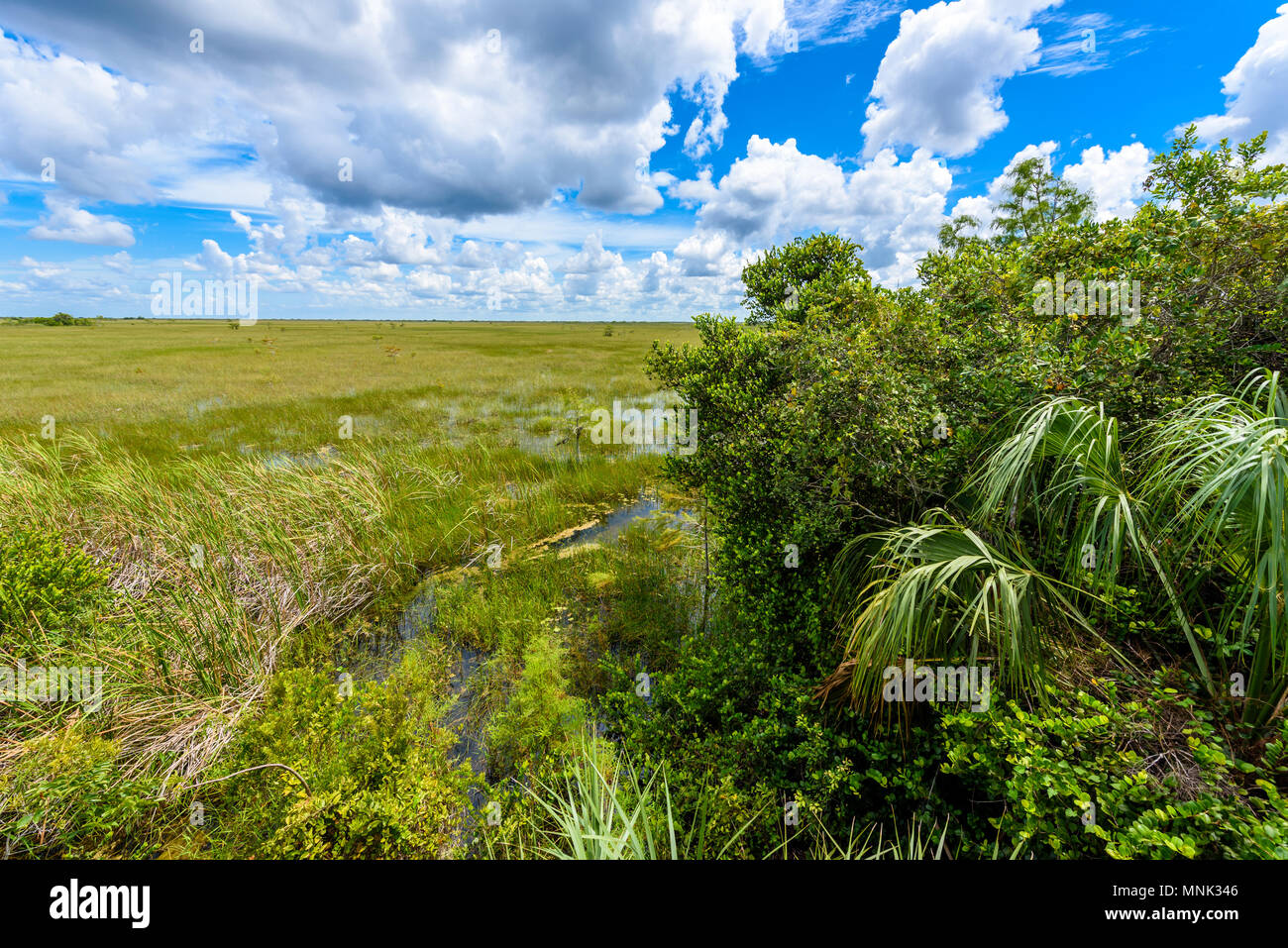 Pa-Hay-Okee Lookout Tower and trail of the Everglades National Park ...