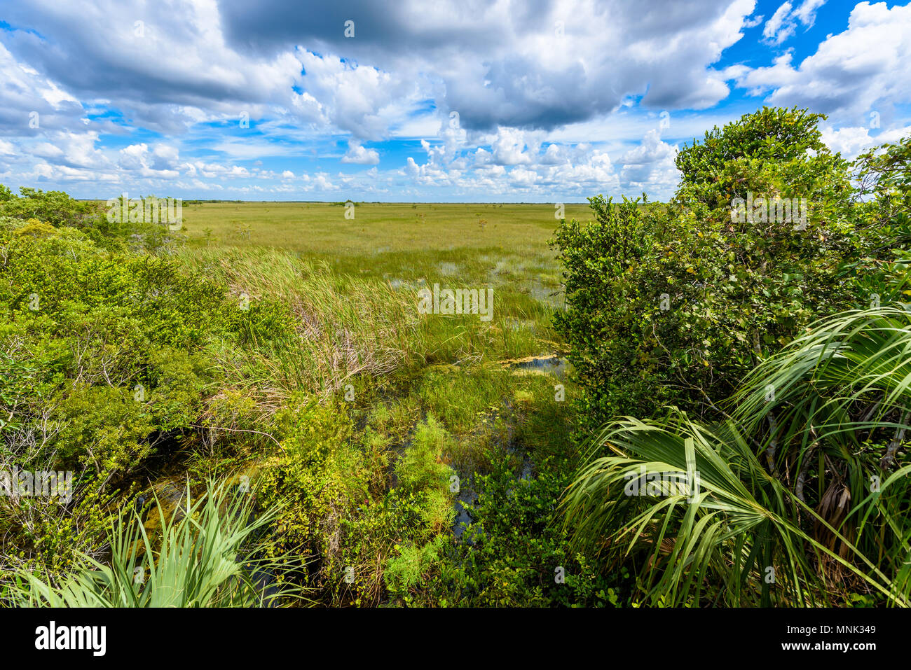 Pa-Hay-Okee Lookout Tower and trail of the Everglades National Park ...