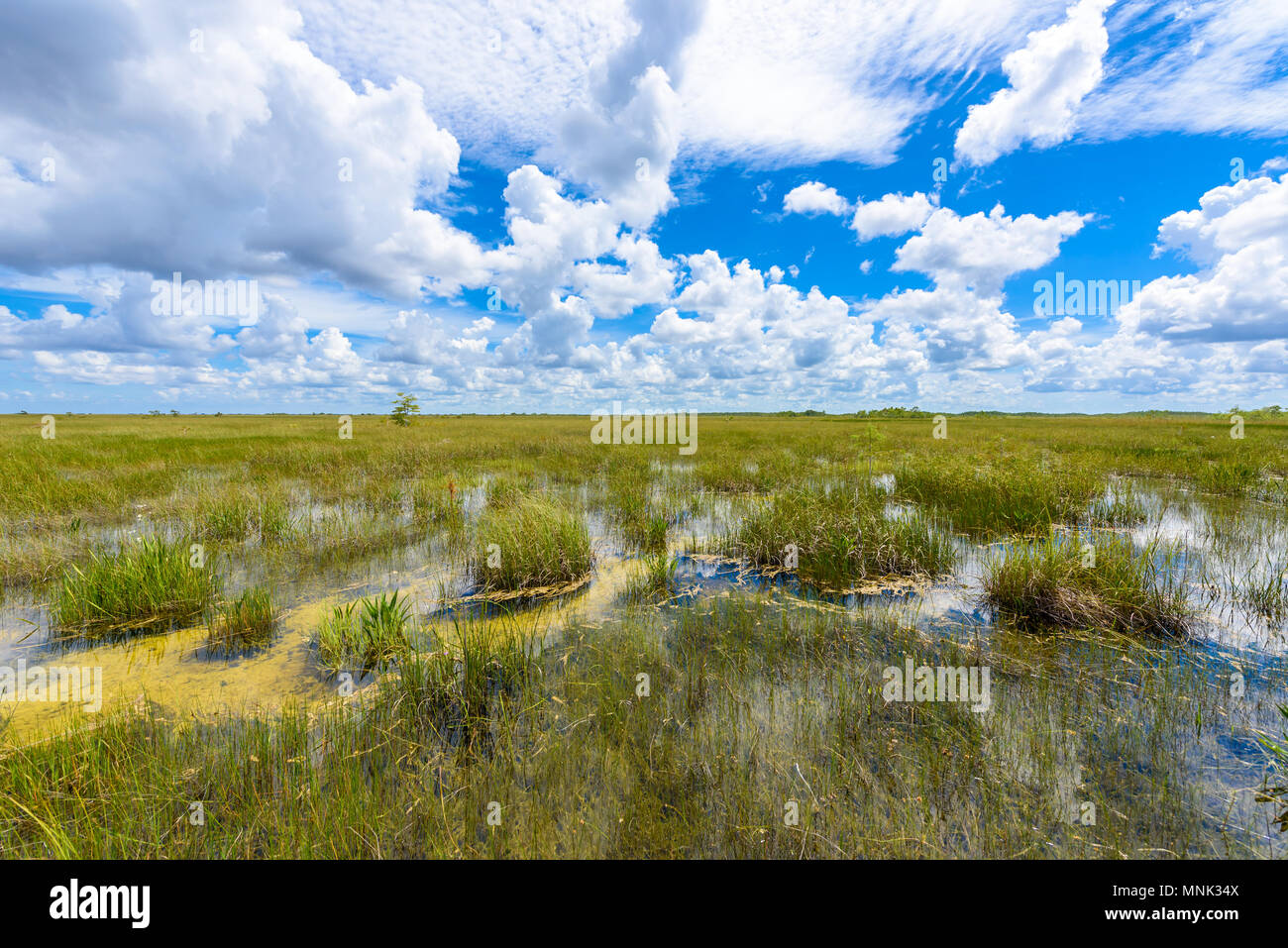 Pa-Hay-Okee Lookout Tower and trail of the Everglades National Park ...