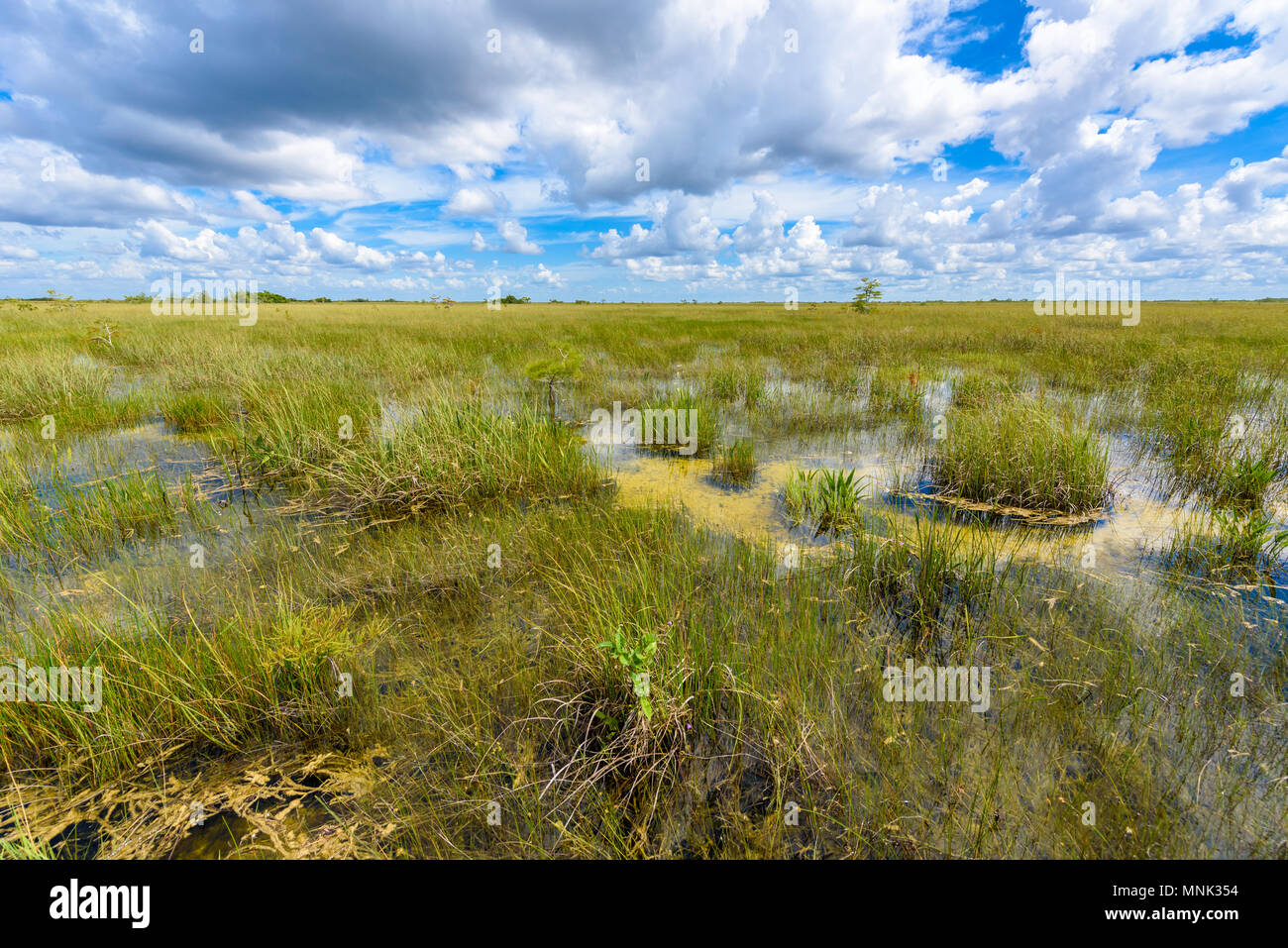 Pa-Hay-Okee Lookout Tower and trail of the Everglades National Park ...