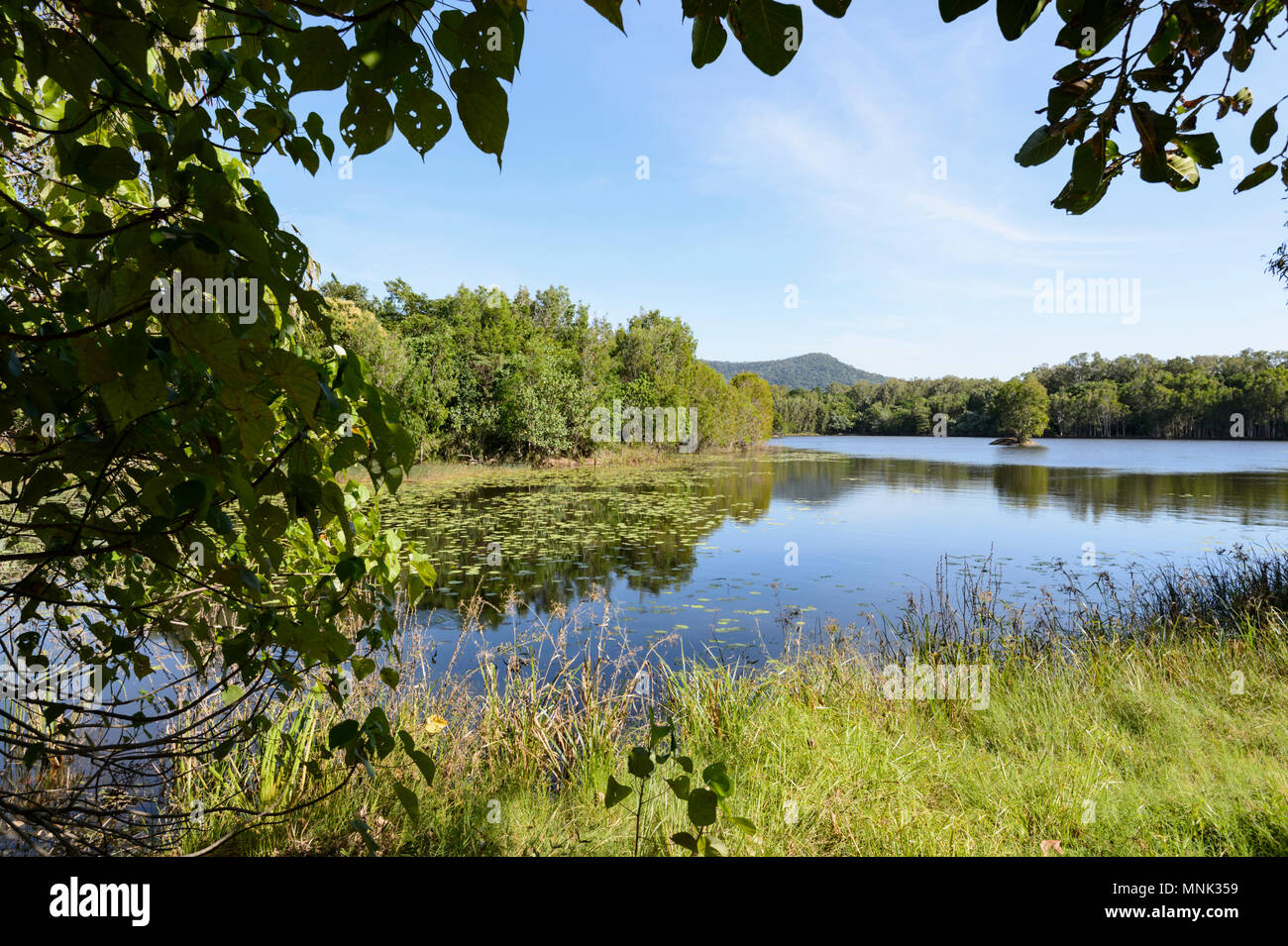 Cattana wetlands hi-res stock photography and images - Alamy