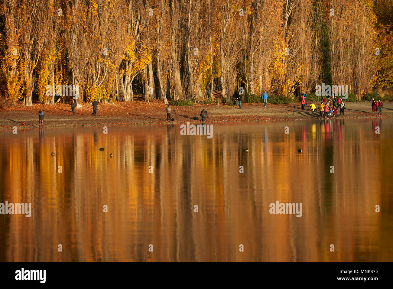 Photographing fall color hi-res stock photography and images - Alamy