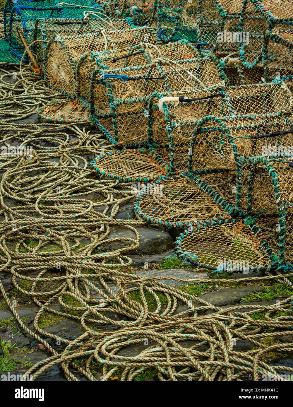 Trap line hi-res stock photography and images - Alamy