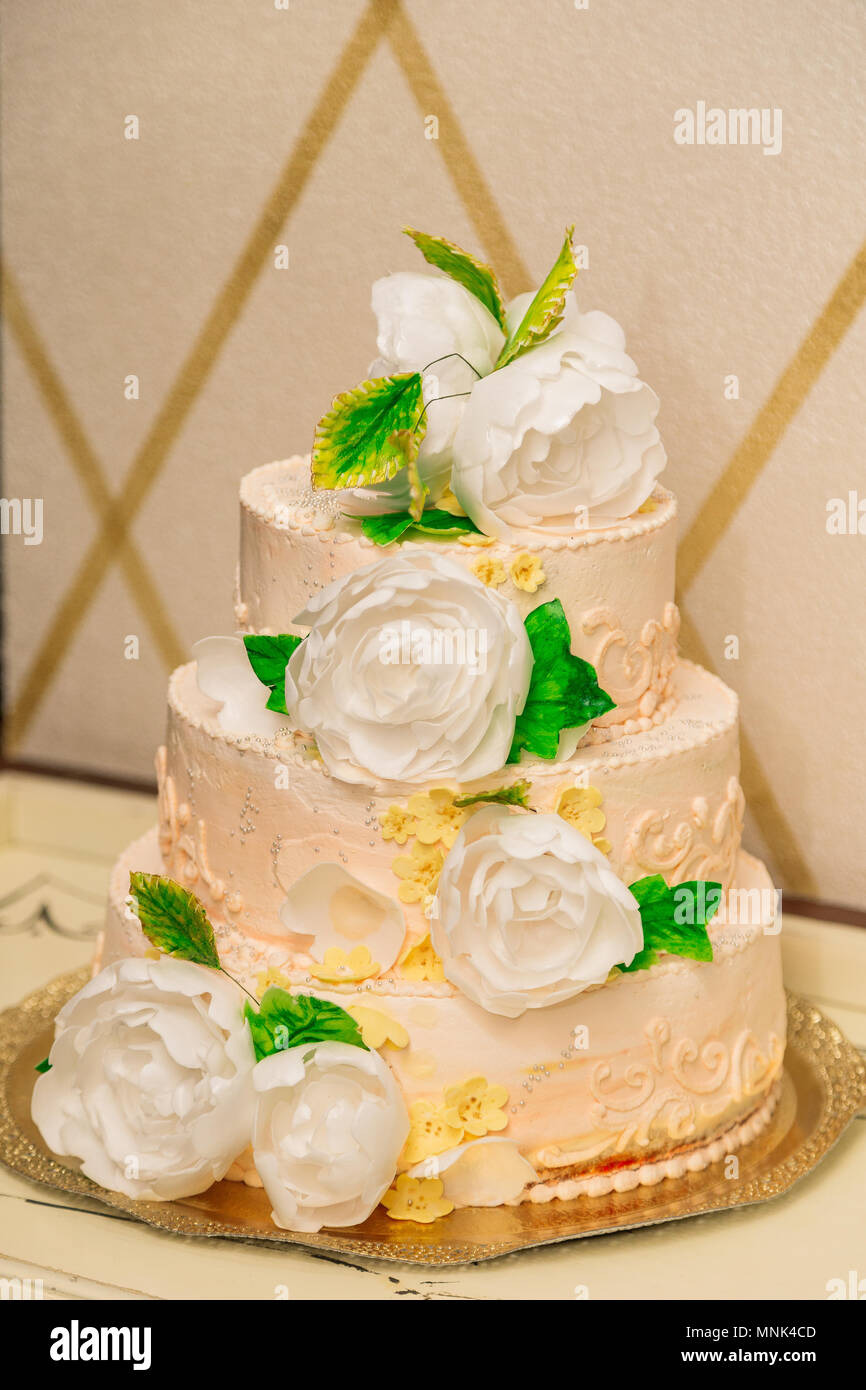 Mastic tree flowers hi-res stock photography and images - Alamy