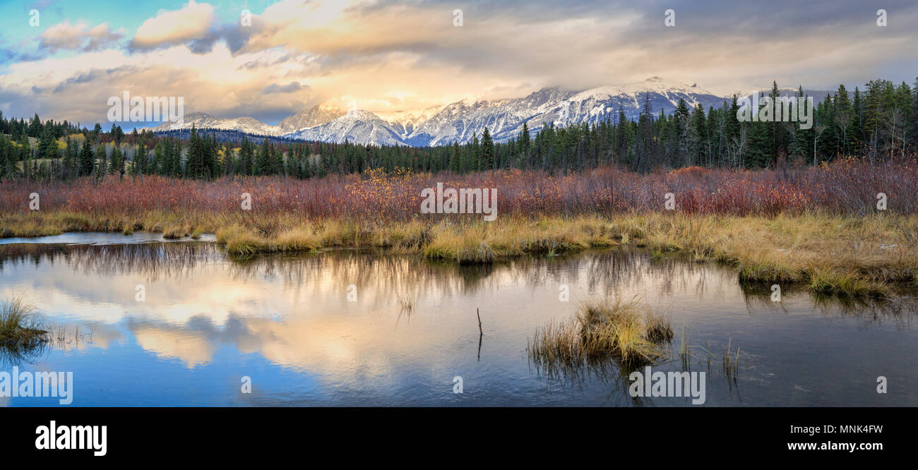 Riley lake hi-res stock photography and images - Alamy
