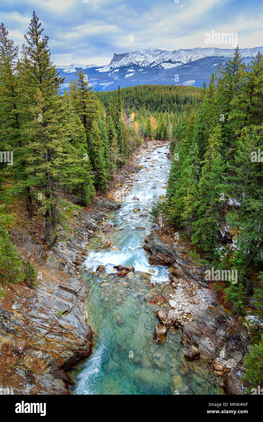 Astoria River, Jasper National Park, Canada Stock Photo - Alamy