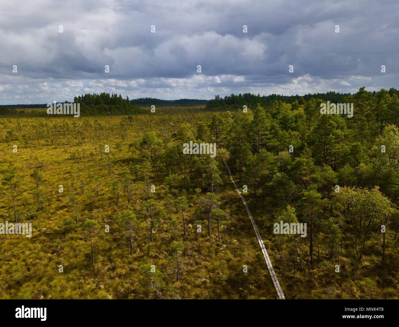 Store Mosse National Park in Sweden Stock Photo - Alamy