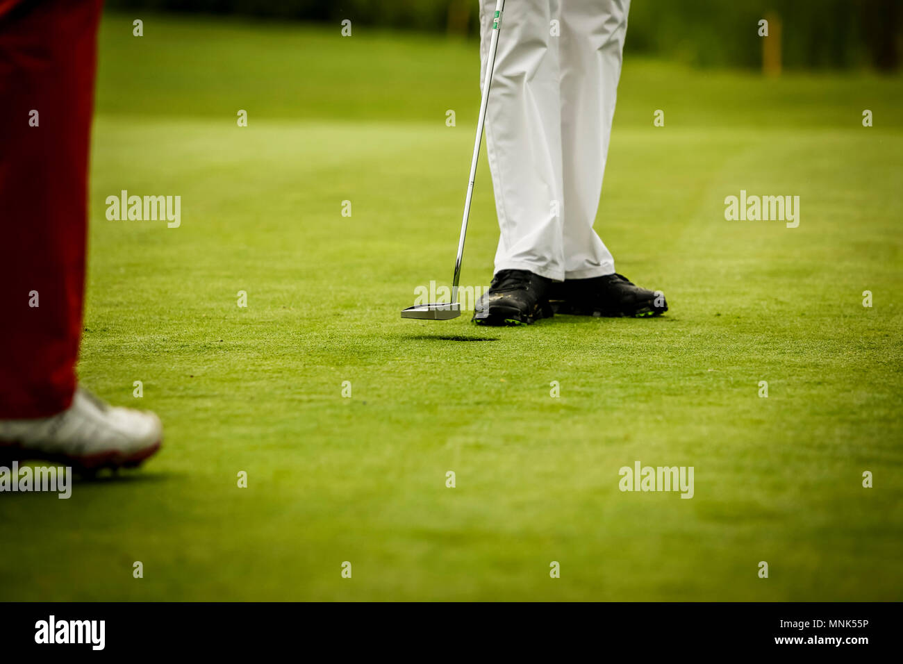 Golfer legs on putting green near the hole Stock Photo - Alamy