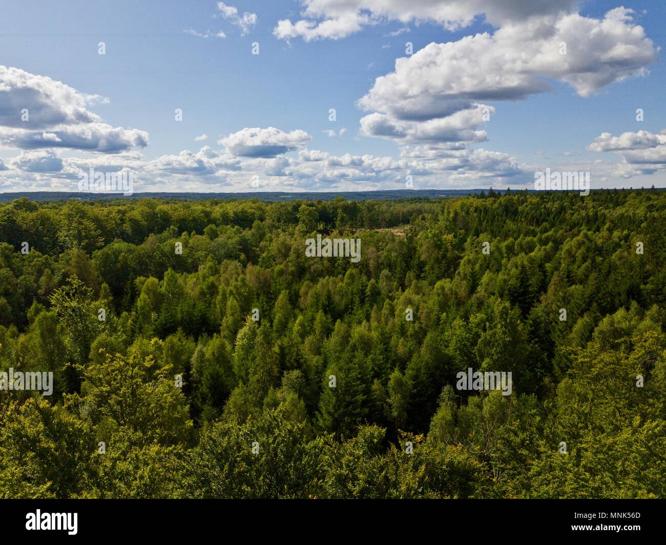 Sweden forest aerial hi-res stock photography and images - Alamy