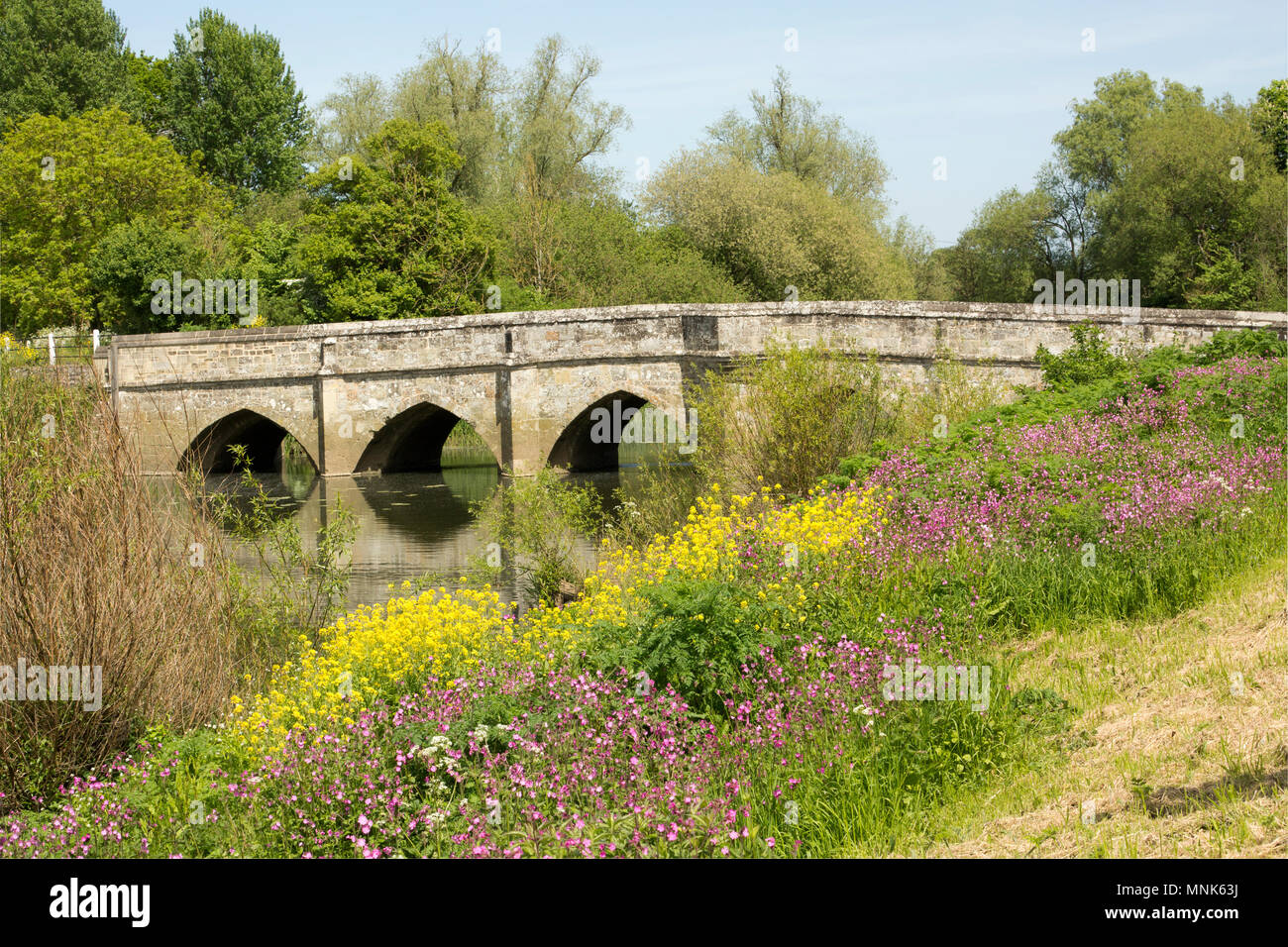 Stone road bridge over the Dorset Stour river near Sturminster Newton ...