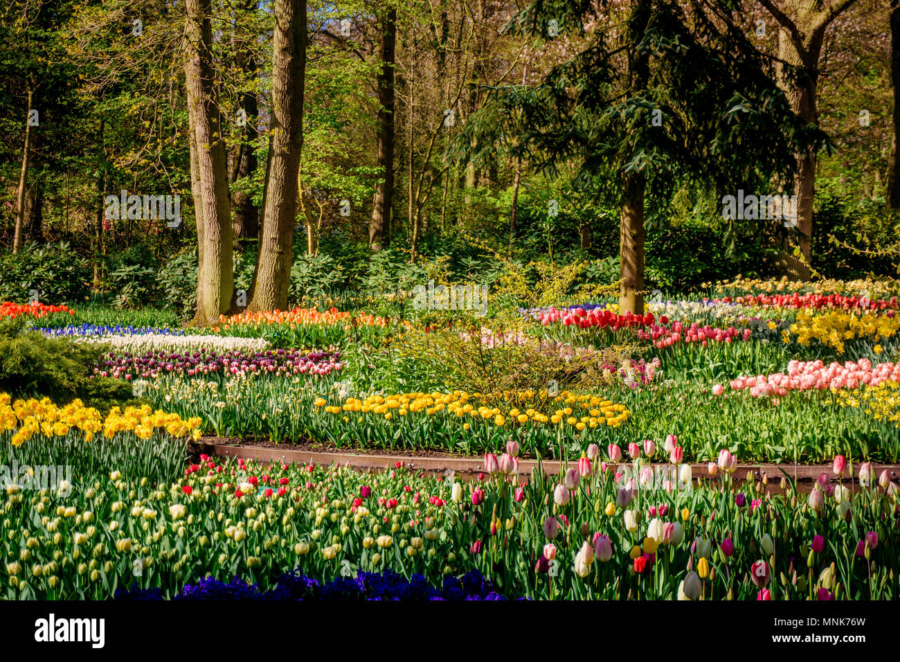 Beautiful garden. Park in The Spring. Spring landscape Stock Photo - Alamy