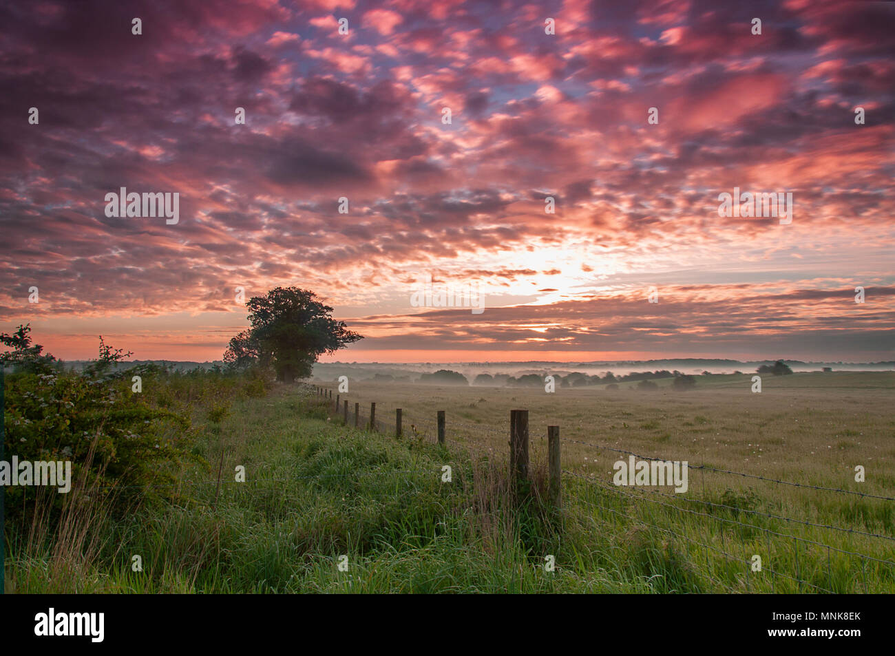 Sunrise countryside summer england hi-res stock photography and images ...