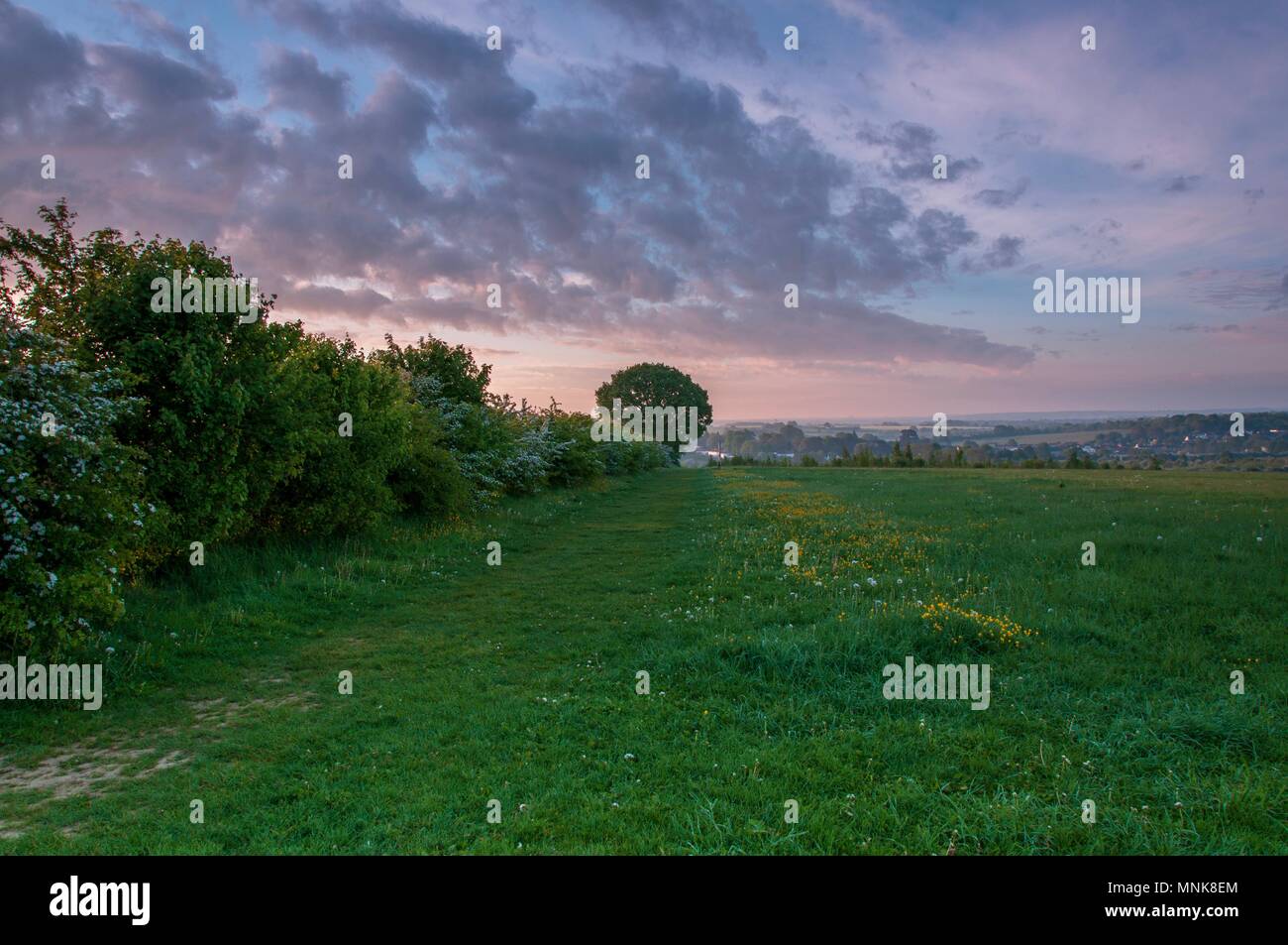 English hedgerow hi-res stock photography and images - Alamy