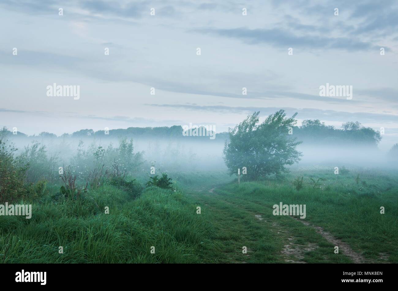Mist early hi-res stock photography and images - Alamy