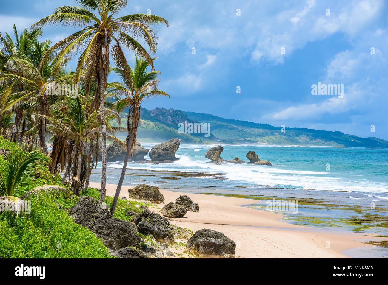Rock formation on the beach of Bathsheba, East coast of island Barbados ...