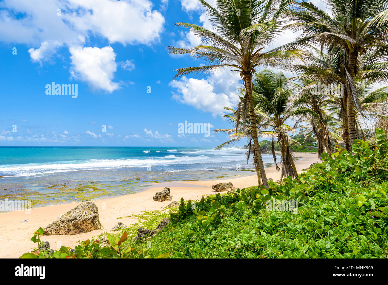 Rock formation on the beach of Bathsheba, East coast of island Barbados ...