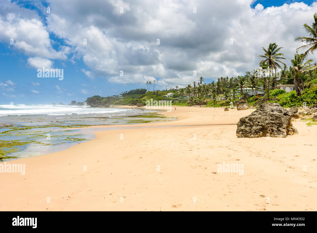 Rock formation on the beach of Bathsheba, East coast of island Barbados ...