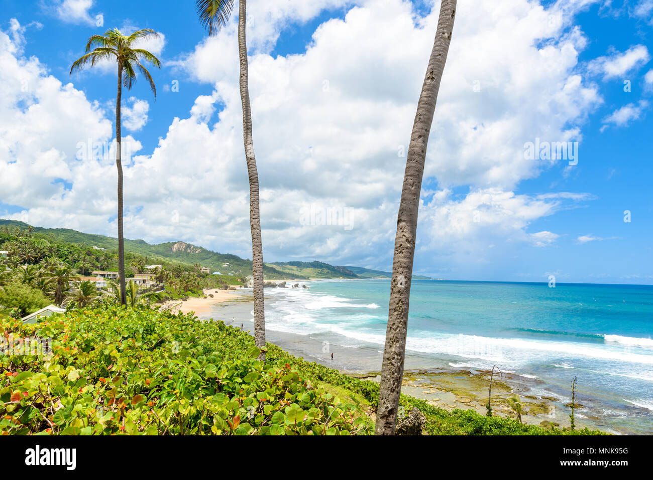 Rock formation on the beach of Bathsheba, East coast of island Barbados ...