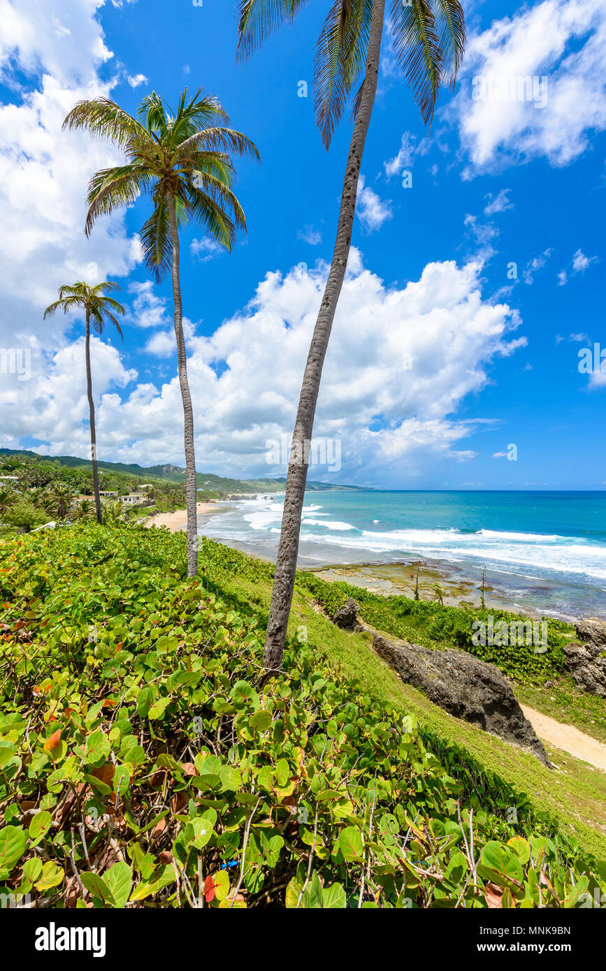 Rock formation on the beach of Bathsheba, East coast of island Barbados ...