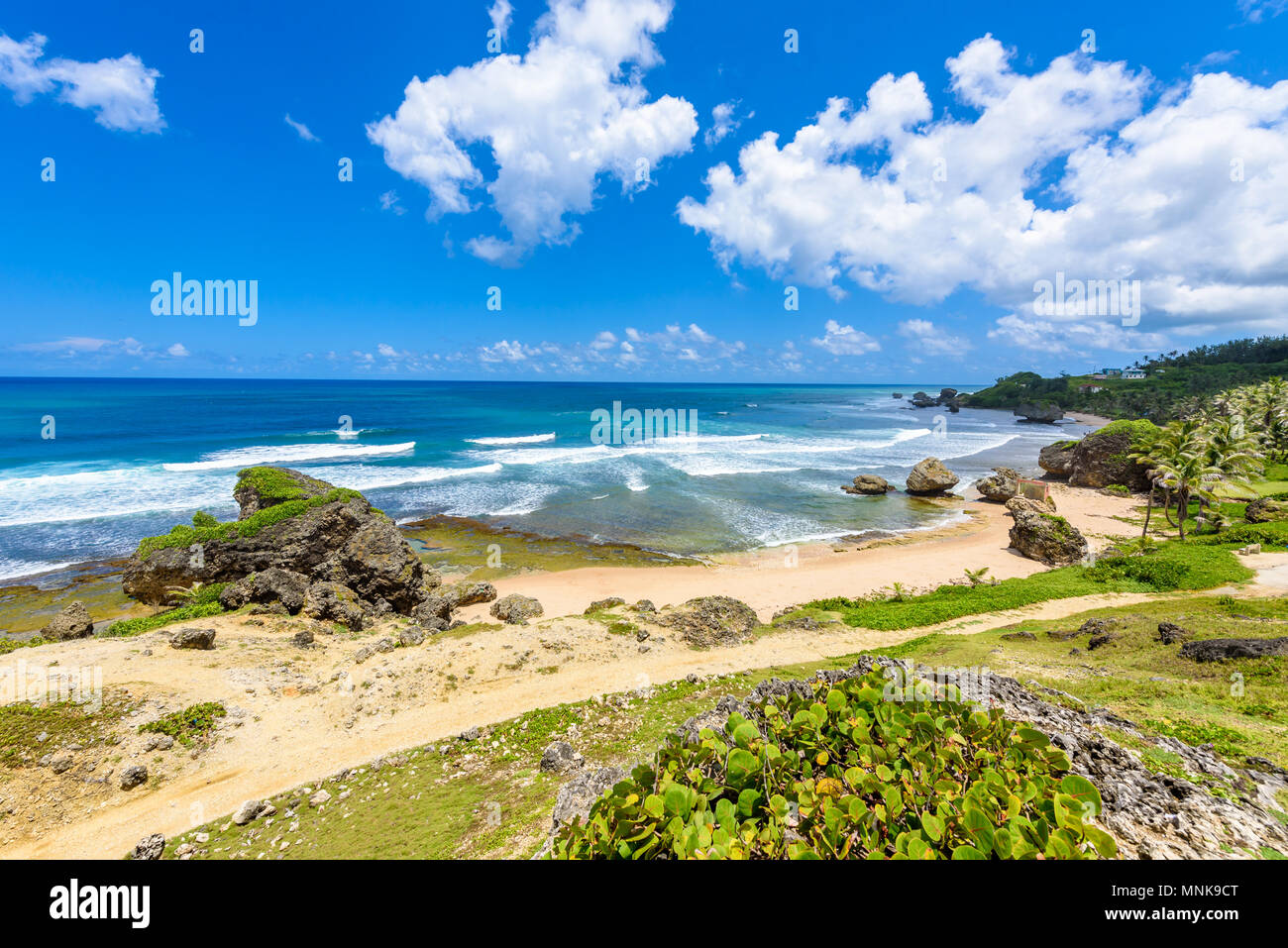 Rock formation on the beach of Bathsheba, East coast of island Barbados ...