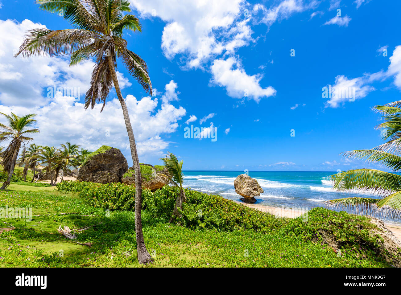 Rock formation on the beach of Bathsheba, East coast of island Barbados ...