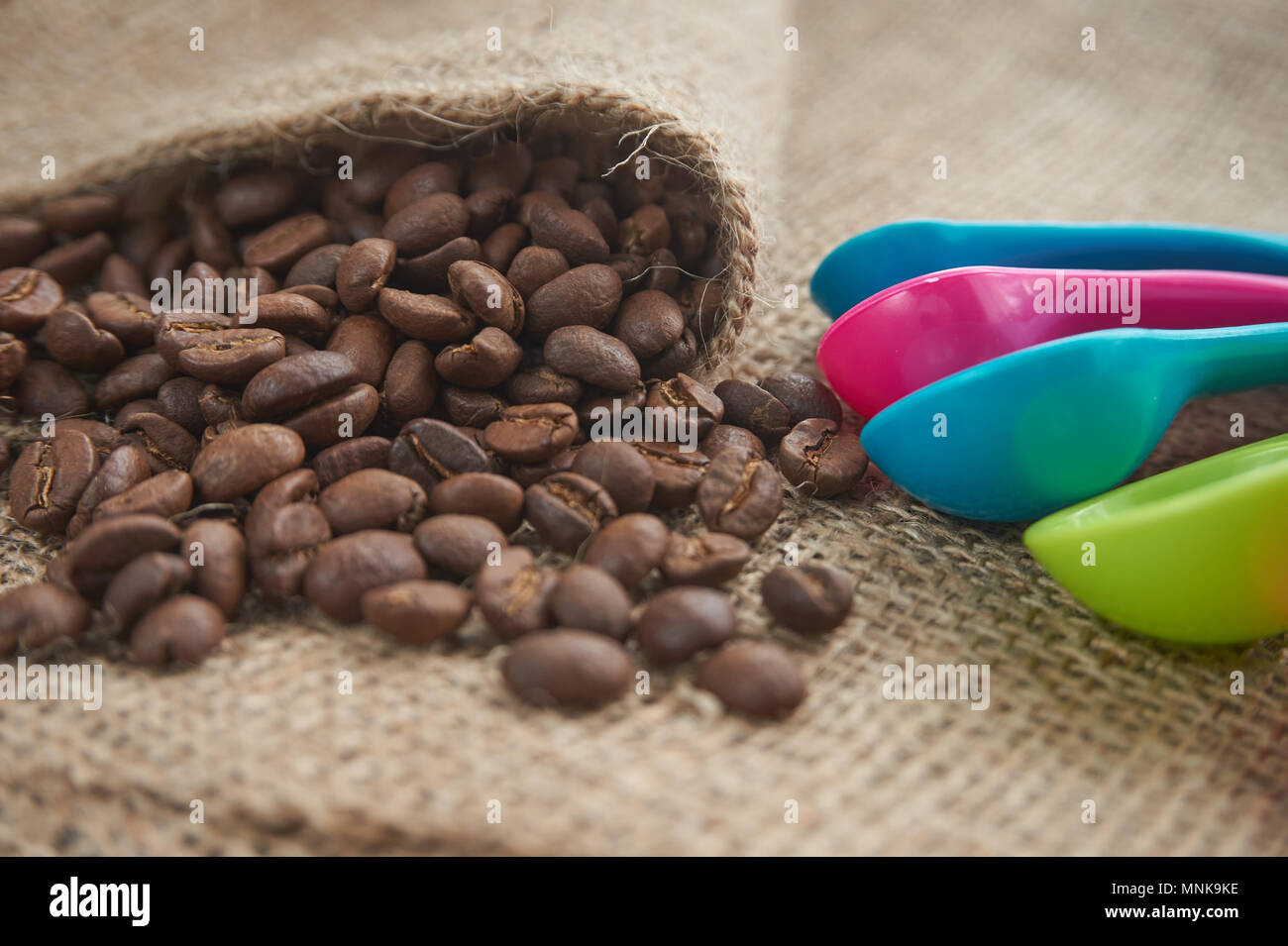 Loose roasted coffee beans and color plastic dose measuring spoons on ...