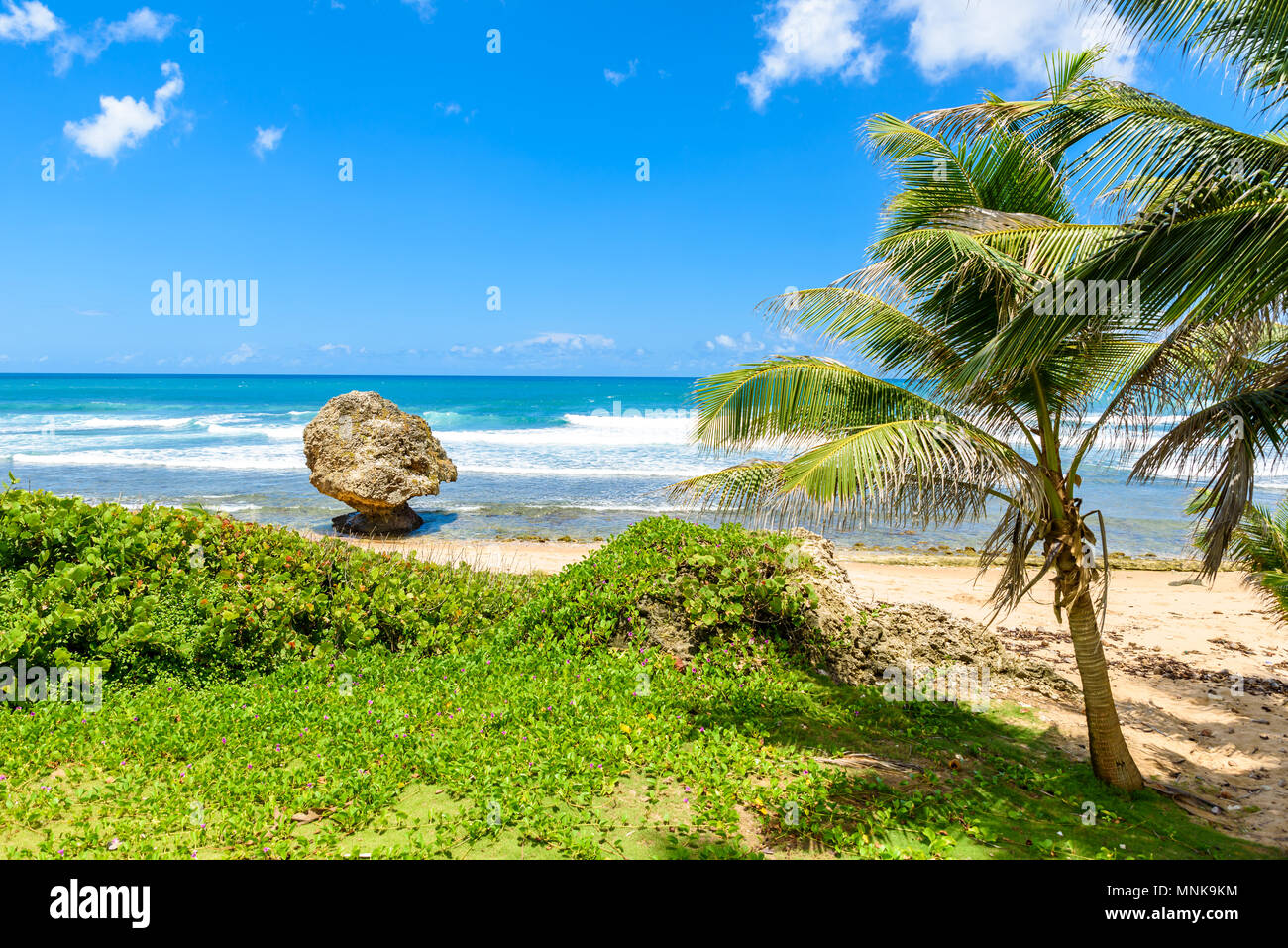 Rock formation on the beach of Bathsheba, East coast of island Barbados ...
