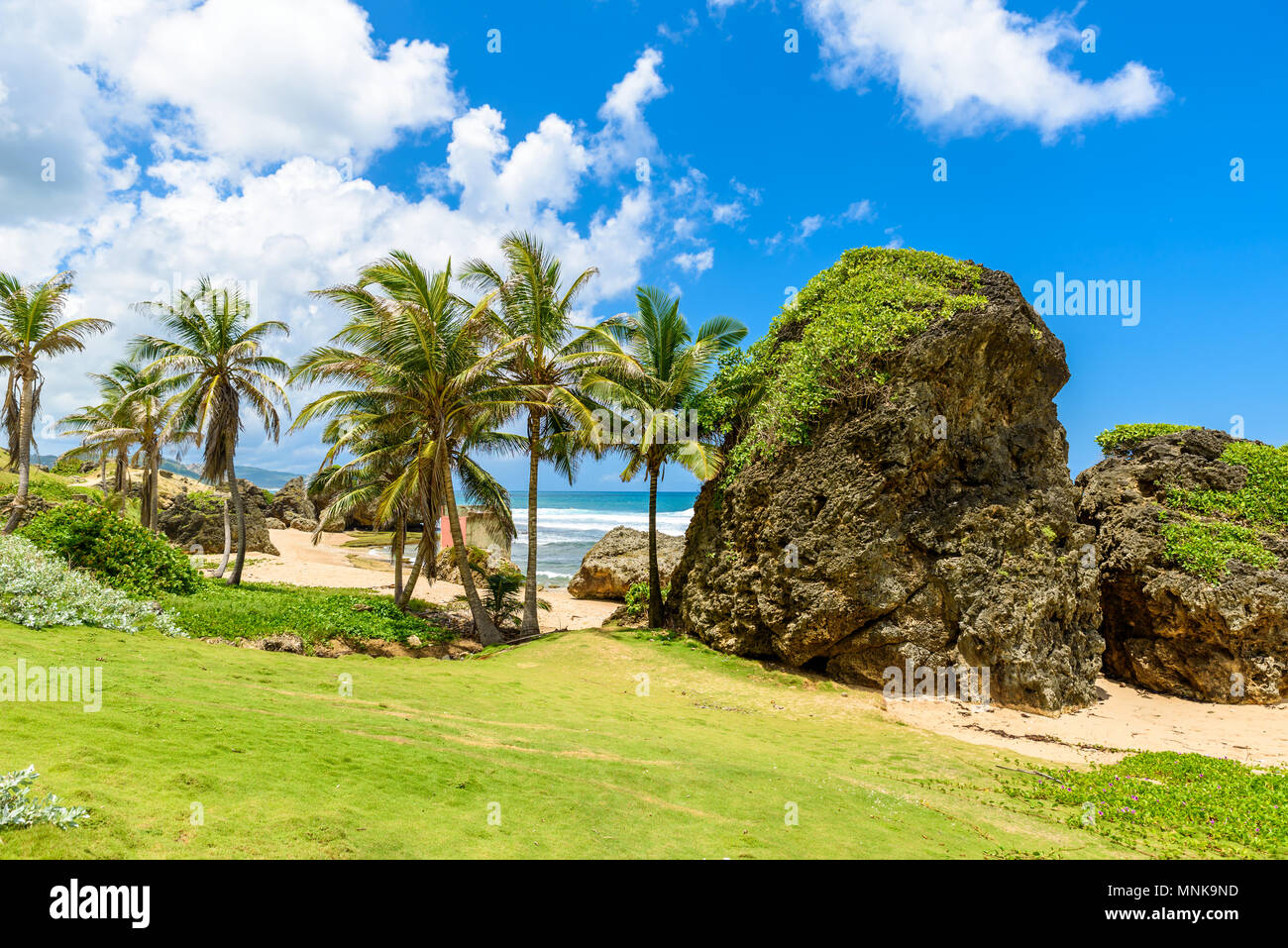 Rock formation on the beach of Bathsheba, East coast of island Barbados ...