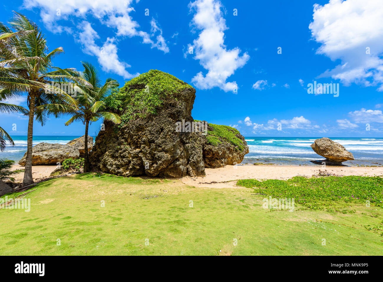 Rock formation on the beach of Bathsheba, East coast of island Barbados ...
