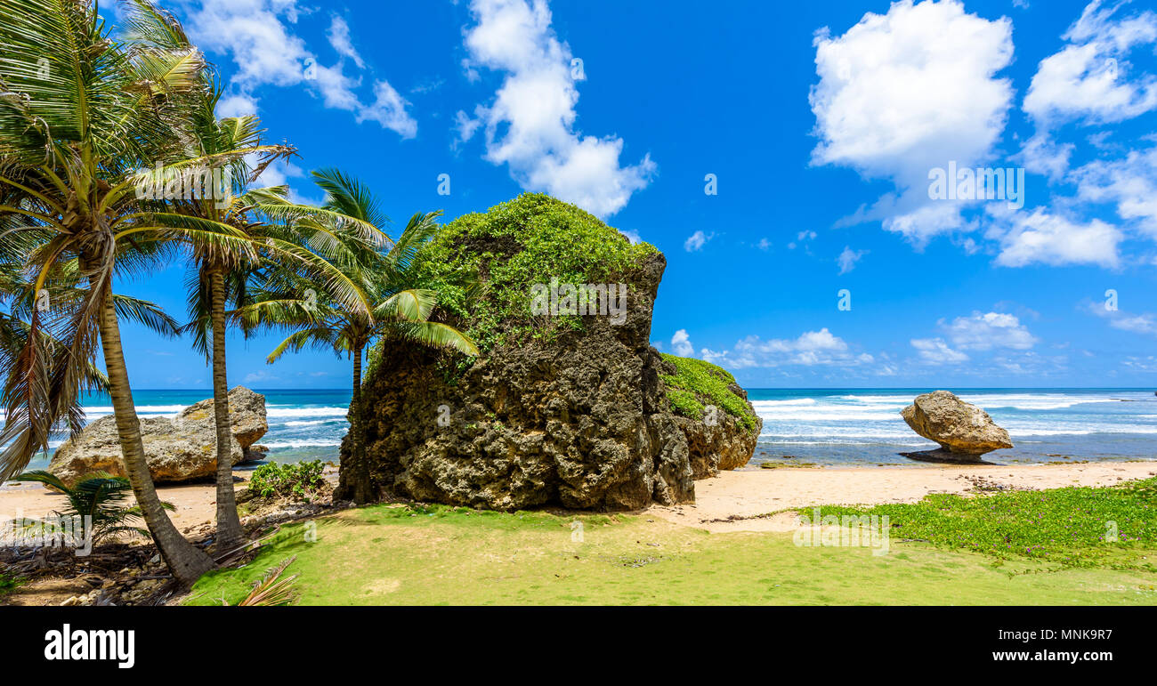 Rock formation on the beach of Bathsheba, East coast of island Barbados ...