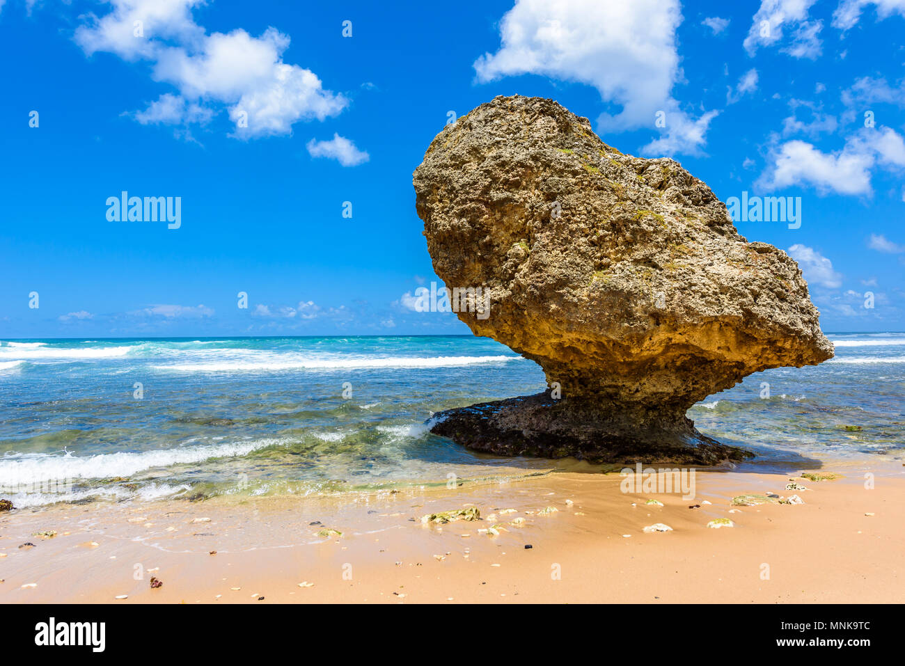 Rock formation on the beach of Bathsheba, East coast of island Barbados ...