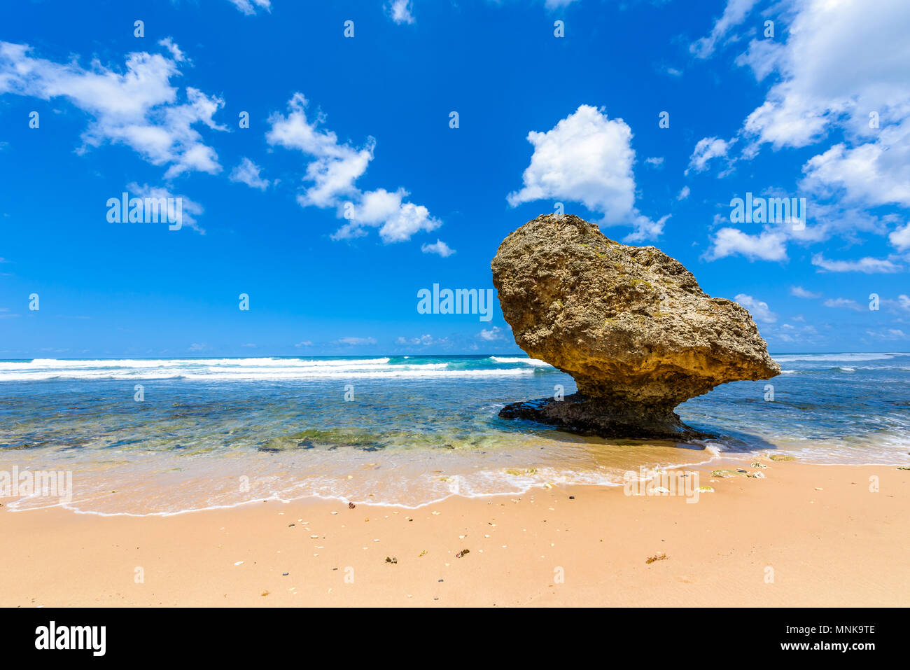 Rock formation on the beach of Bathsheba, East coast of island Barbados ...