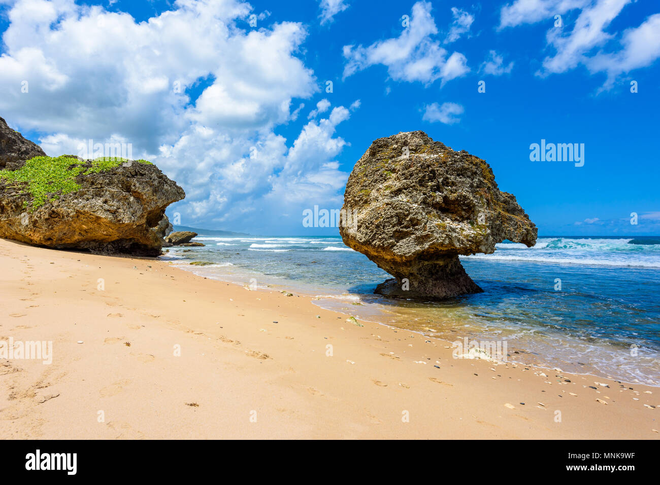 Rock formation on the beach of Bathsheba, East coast of island Barbados ...