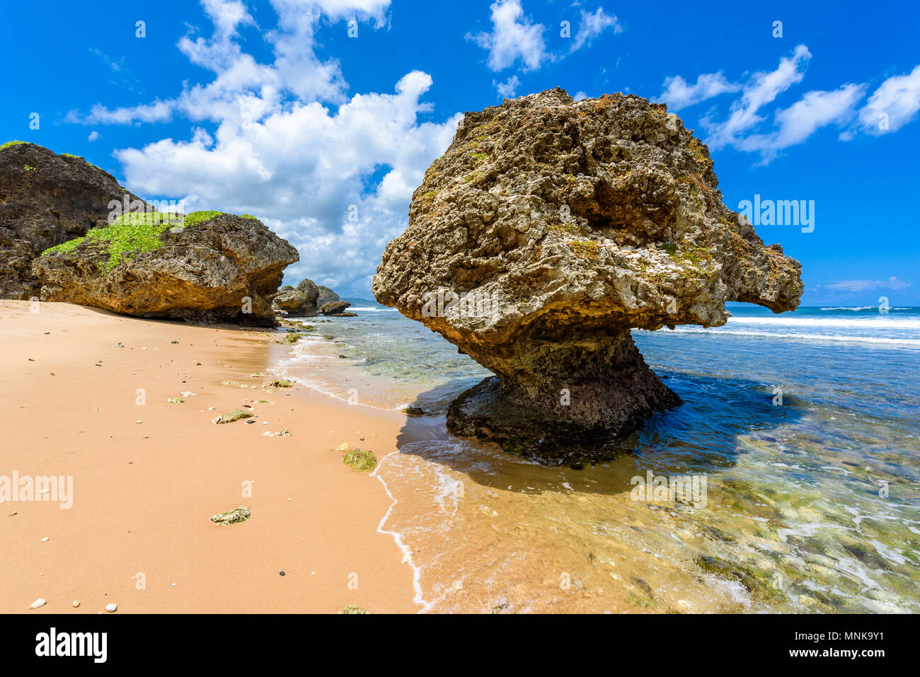 Rock formation on the beach of Bathsheba, East coast of island Barbados ...