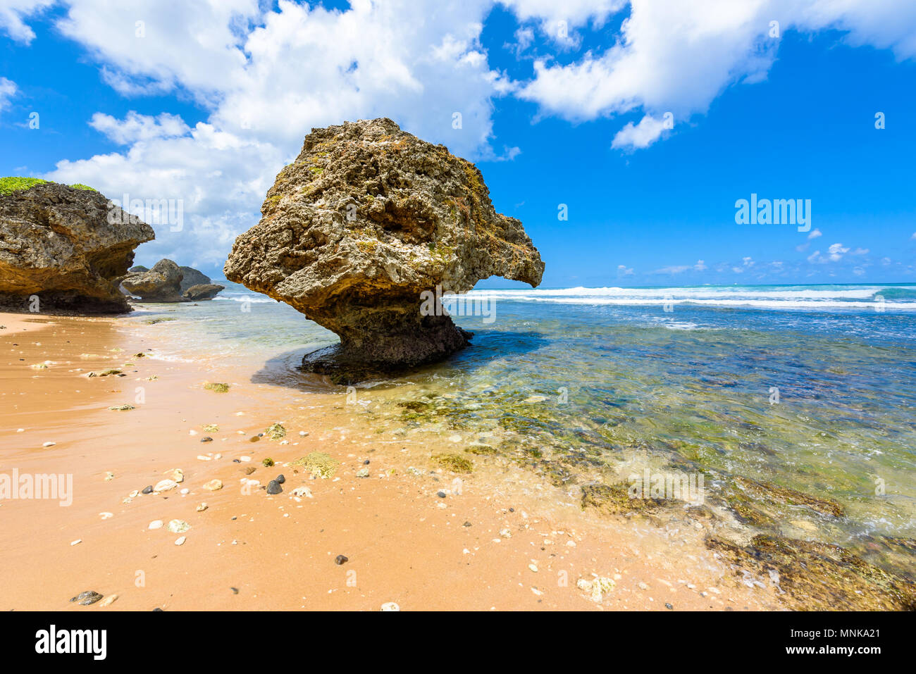 Rock formation on the beach of Bathsheba, East coast of island Barbados ...