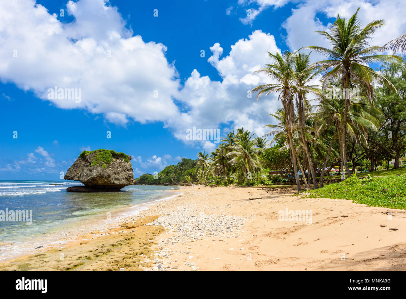 Rock formation on the beach of Bathsheba, East coast of island Barbados ...