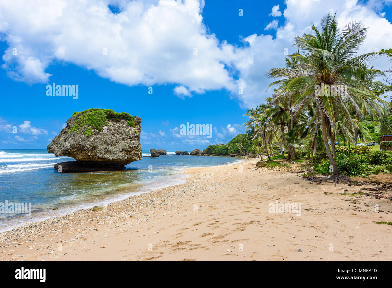 Rock formation on the beach of Bathsheba, East coast of island Barbados ...