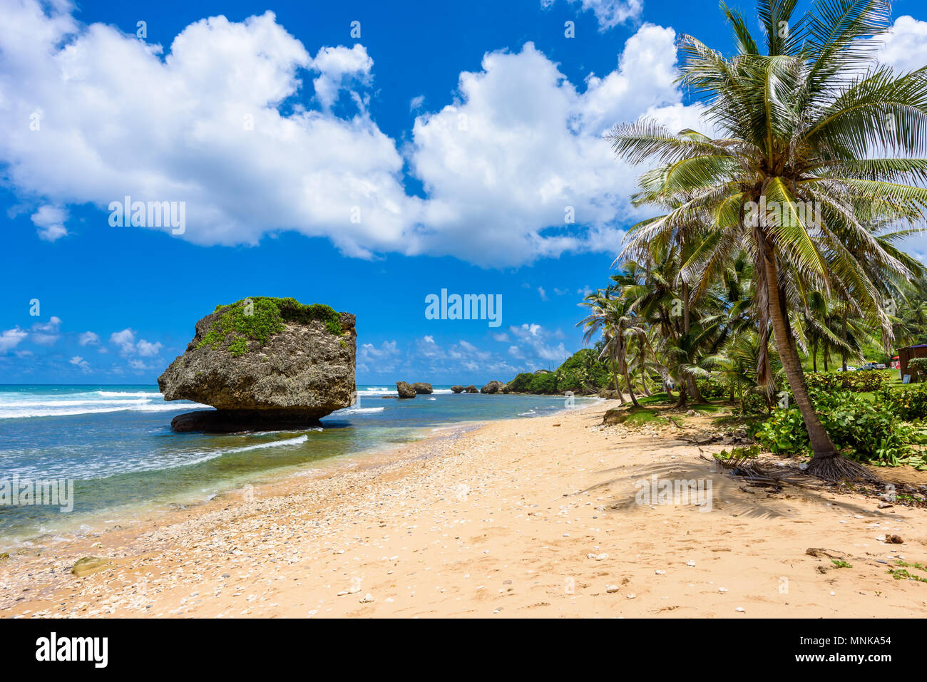 Rock formation on the beach of Bathsheba, East coast of island Barbados ...