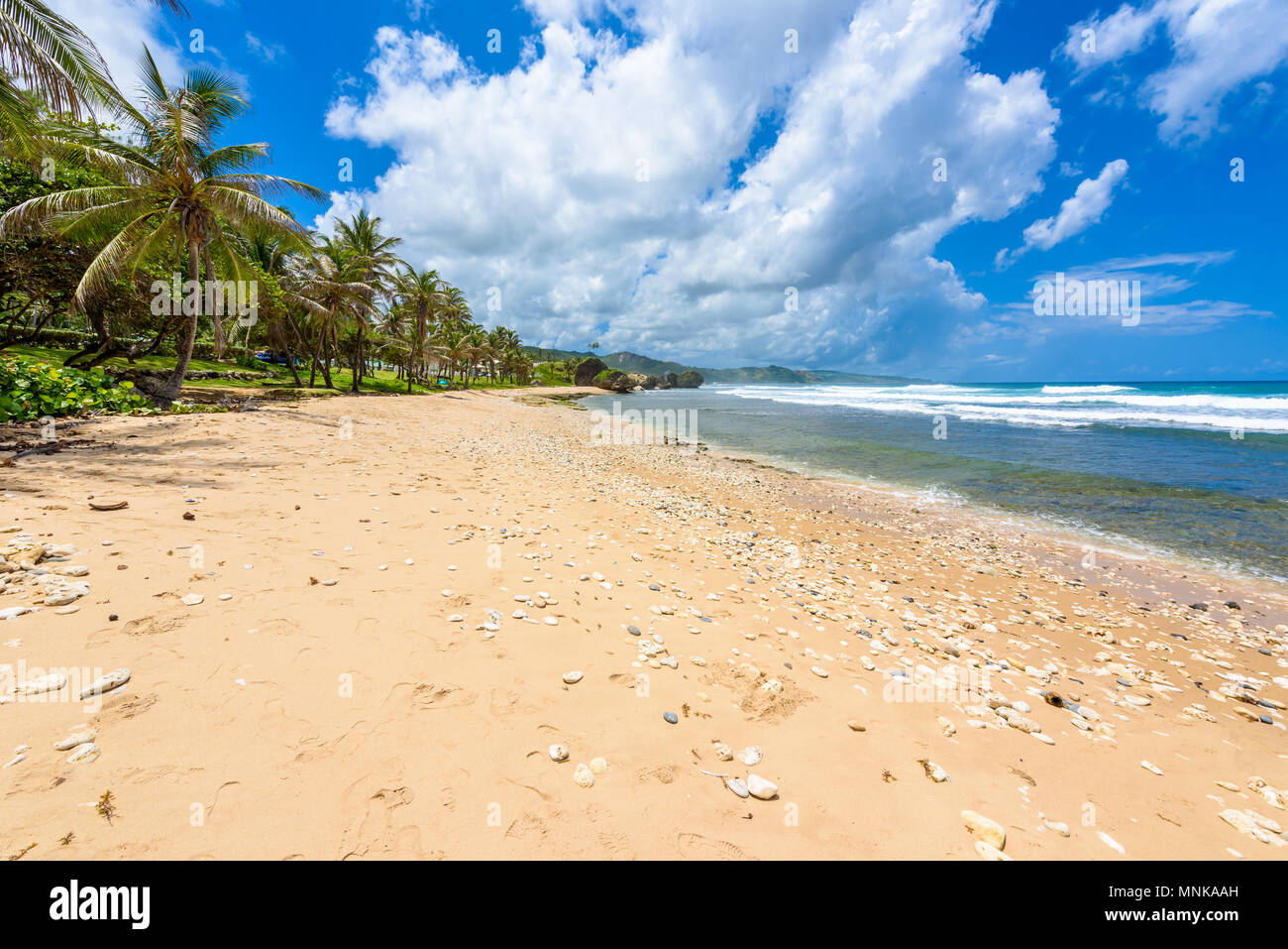 Rock formation on the beach of Bathsheba, East coast of island Barbados ...