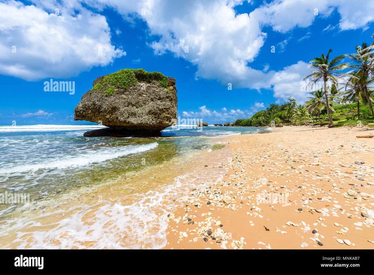 Rock formation on the beach of Bathsheba, East coast of island Barbados ...