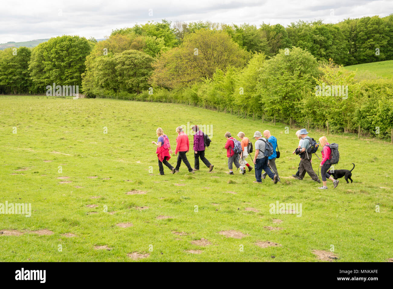 A group of people walking in the Yorkshire countryside UK in spring ...