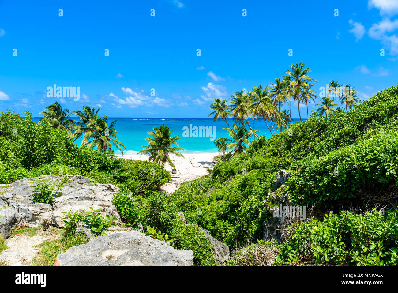 Bottom Bay, Barbados - Paradise beach on the Caribbean island of ...
