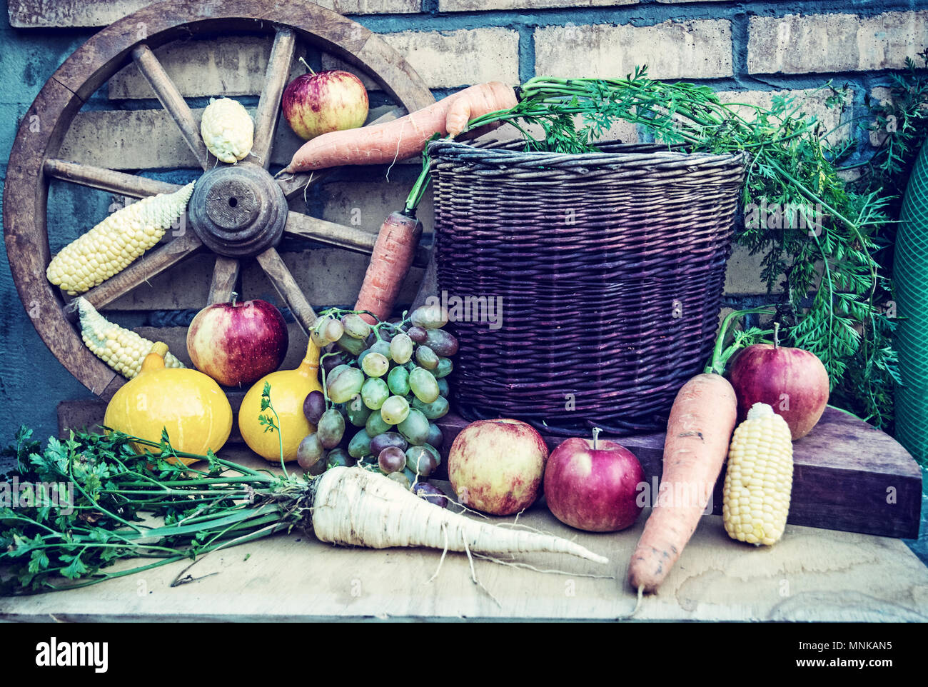 Still life of fruits and vegetables in autumn. Rural food scene. Blue ...
