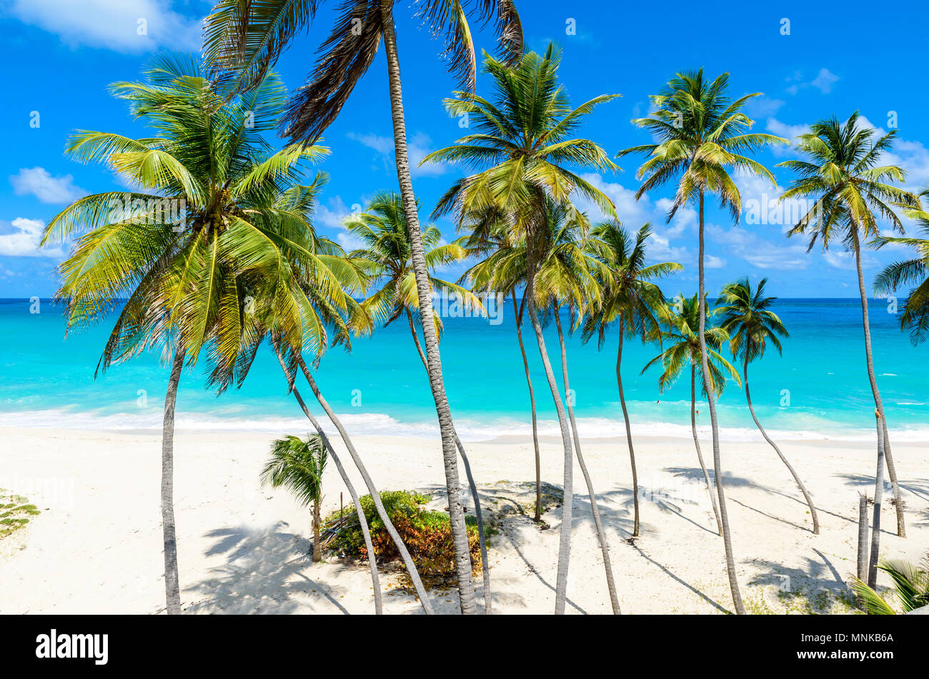 Bottom Bay, Barbados - Paradise beach on the Caribbean island of ...