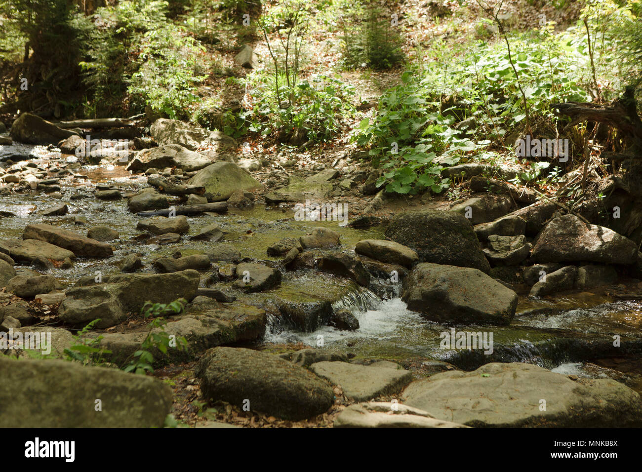 Small river in sun hi-res stock photography and images - Alamy