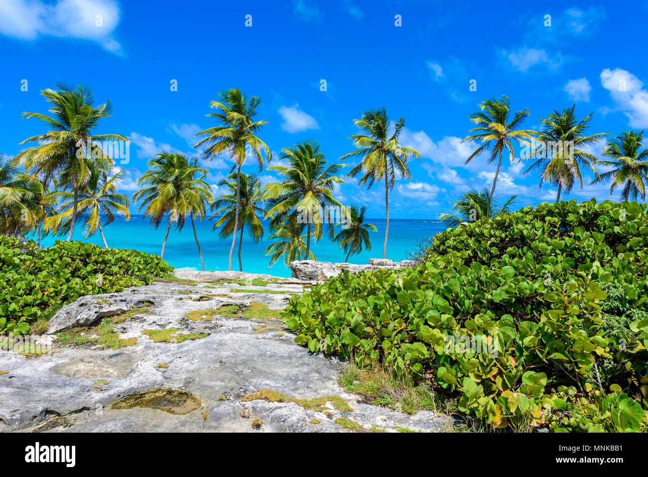 Bottom Bay, Barbados - Paradise beach on the Caribbean island of ...