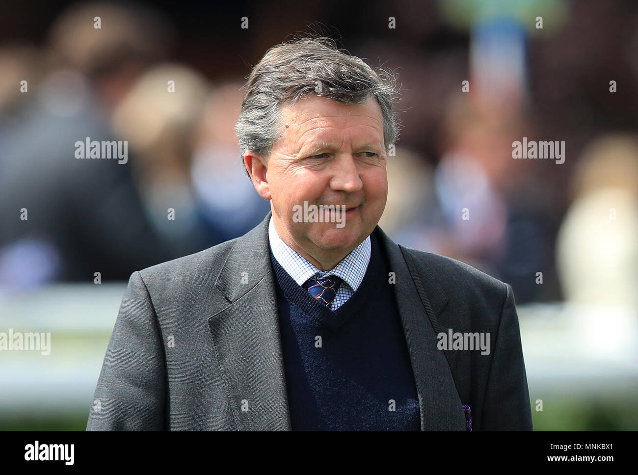 Tim easterby horse hi-res stock photography and images - Alamy