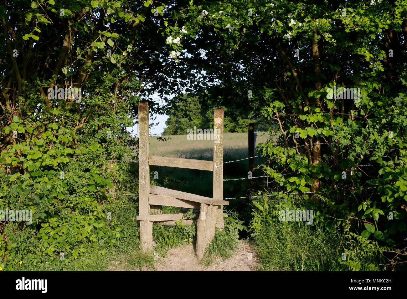 Wooden stile gate amongst trees Stock Photo - Alamy