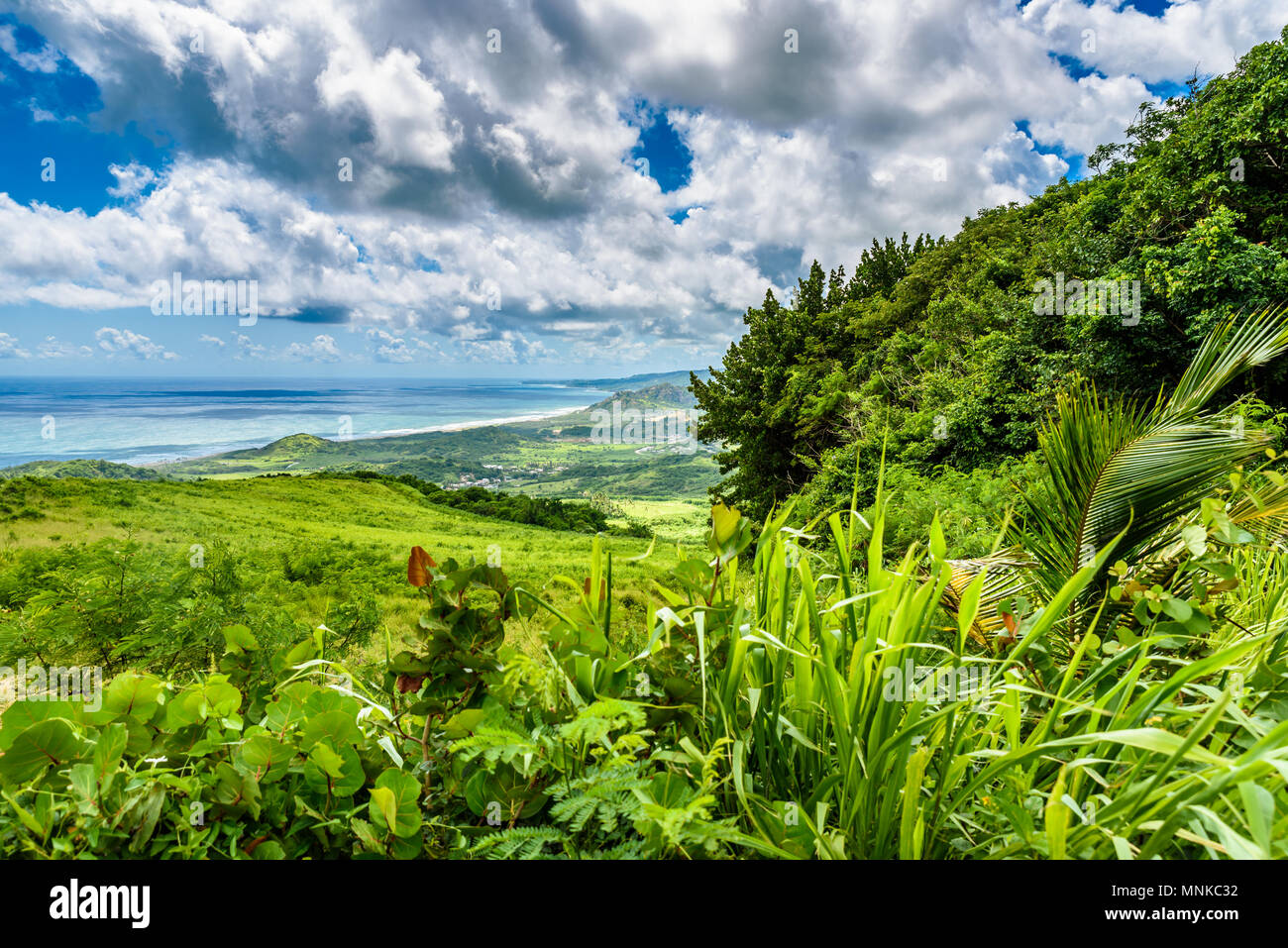 Cherry tree hill reserve hi-res stock photography and images - Alamy
