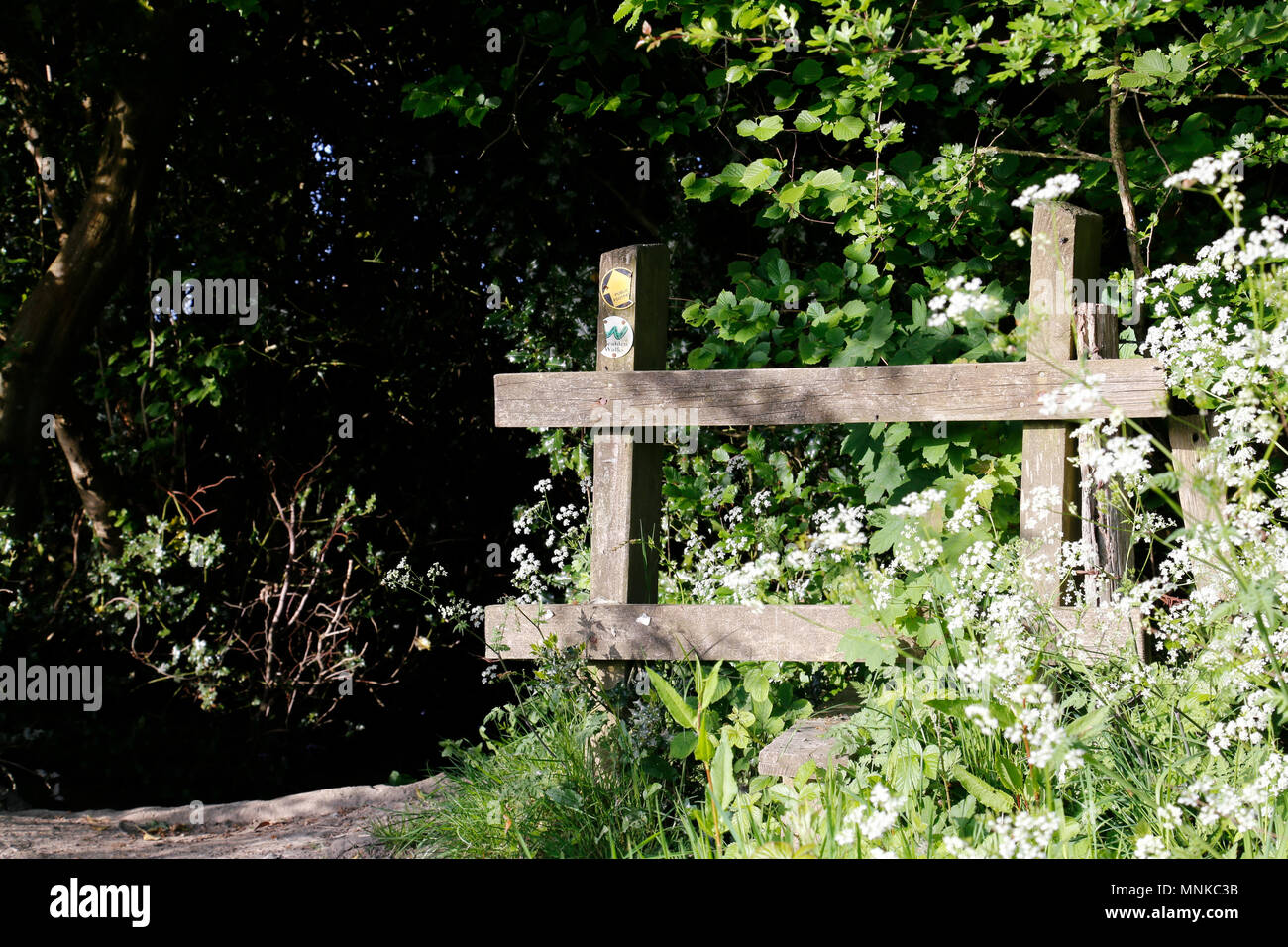 Woodland gate and fence hi-res stock photography and images - Alamy